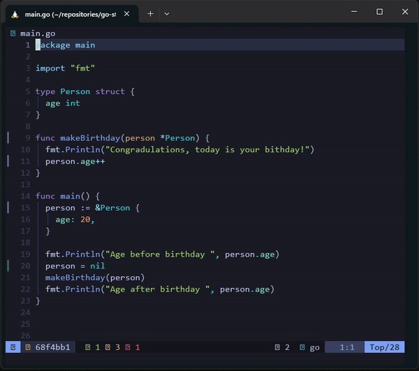 Pointers with Golang | Eduardo de Carvalho
